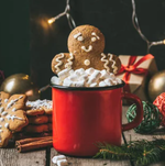 De Dondersteen Spel & Plezier